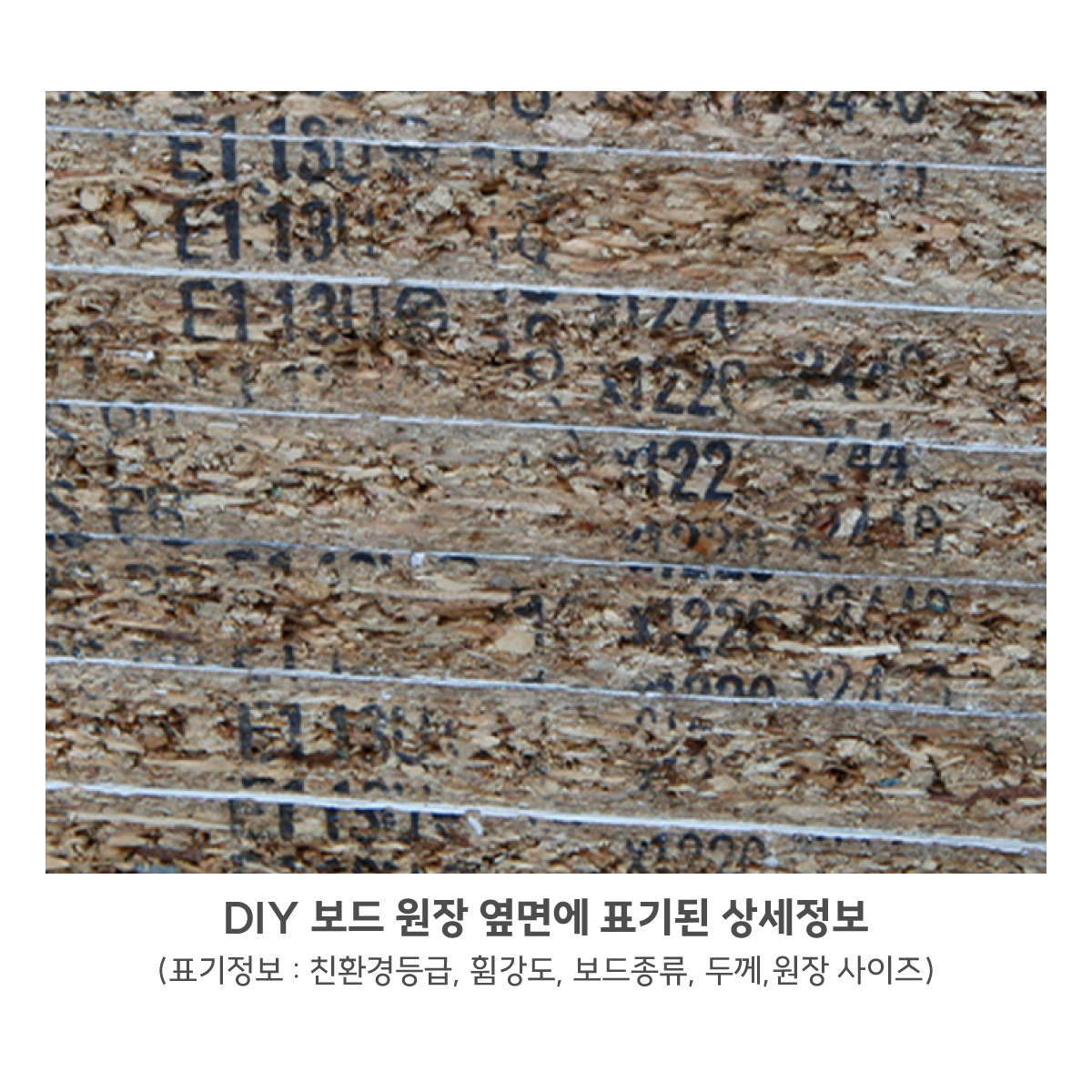 18T PB 슈비츠월넛 LPM (입체) / 슈비츠월넛 LPM 13U E1